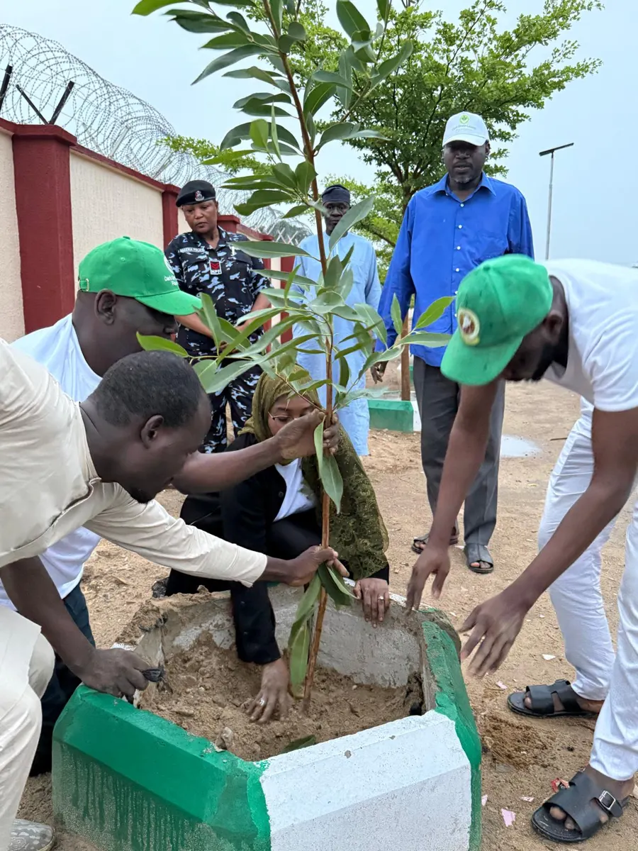 Dark Green Leaves Initiative